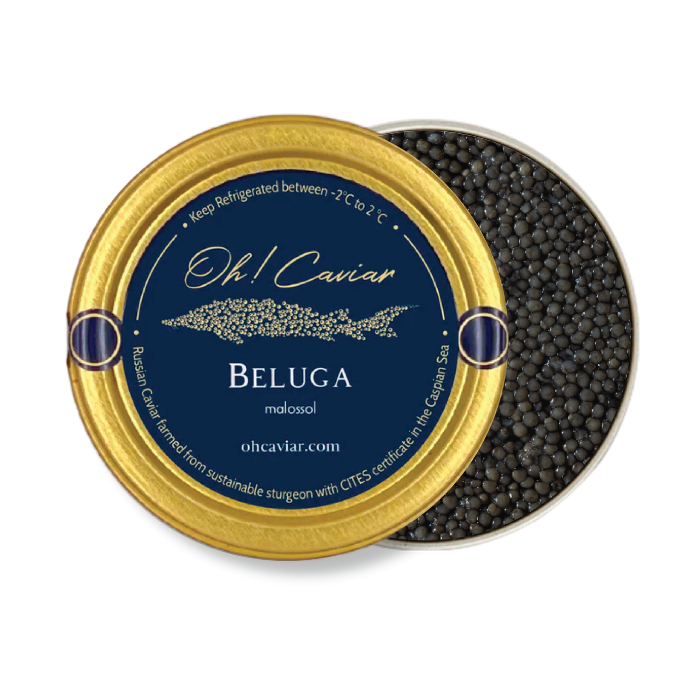 Beluga Caviar | Oh! Caviar - Authentic Russian Caviar in Hong Kong